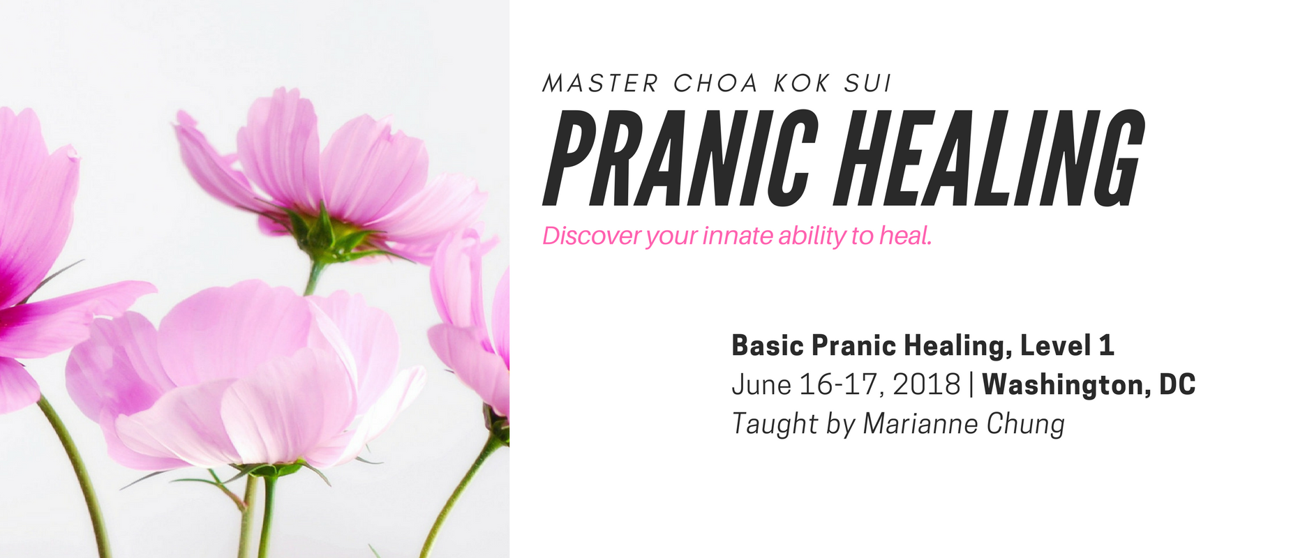Pranic Healing Level 1 Course – The Center for Pranic Healing Maryland